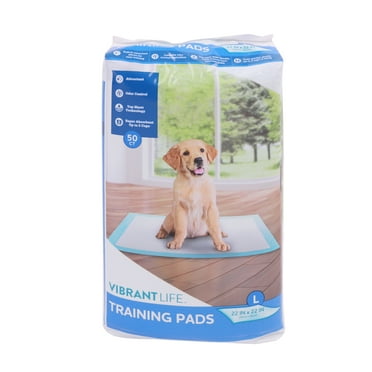 Fetchers Pet Pads, Dog Training Pads, 100 Count, 23 in x 24 in ...