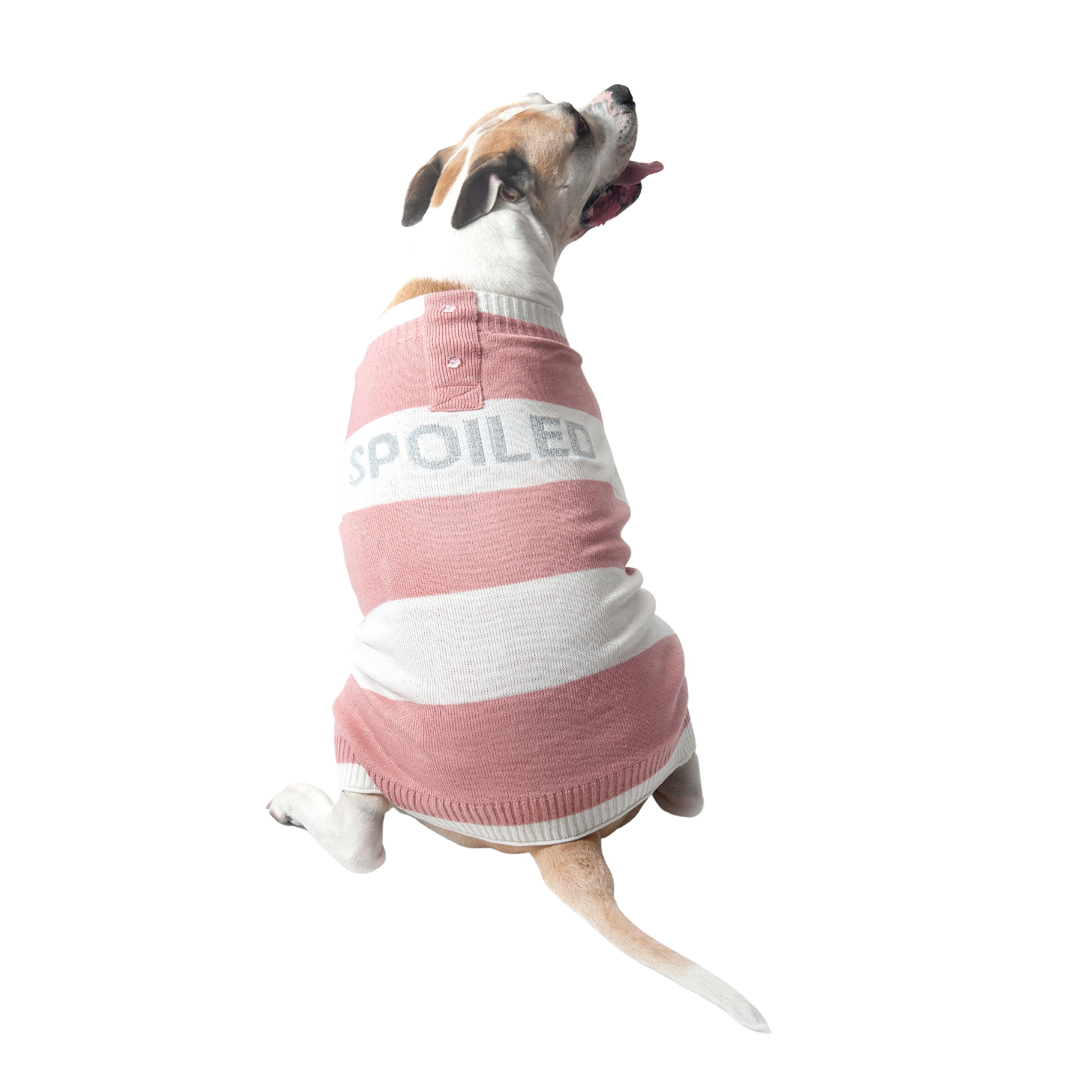 Vibrant Life Winter Dog Clothes Spoiled Pink Sweater, Extra Large ...