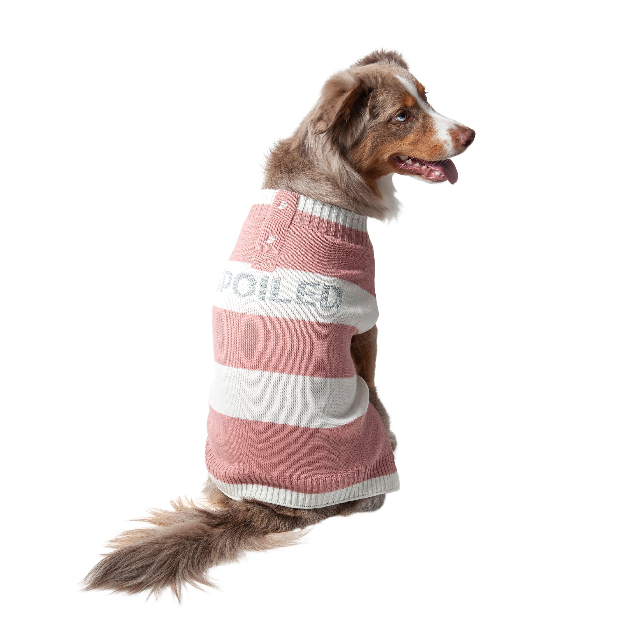 Vibrant Life Winter Dog Clothes Spoiled Pink Sweater, Medium - Walmart.com