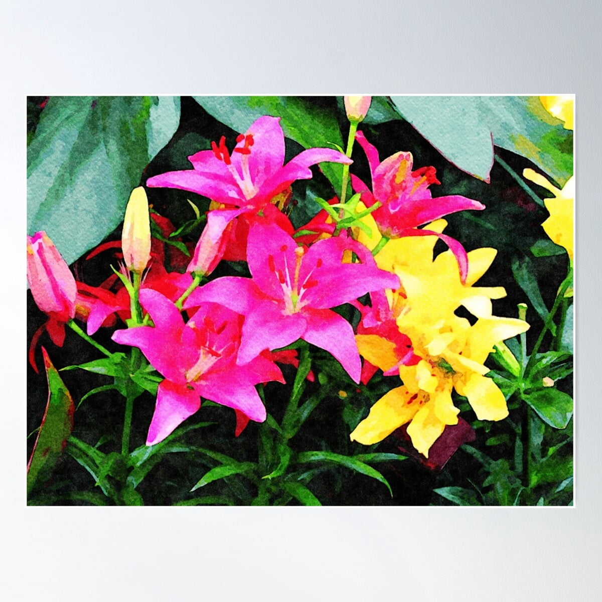 Vibrant Watercolor Lilies In Full Bloom In Garden Setting Poster Wall ...