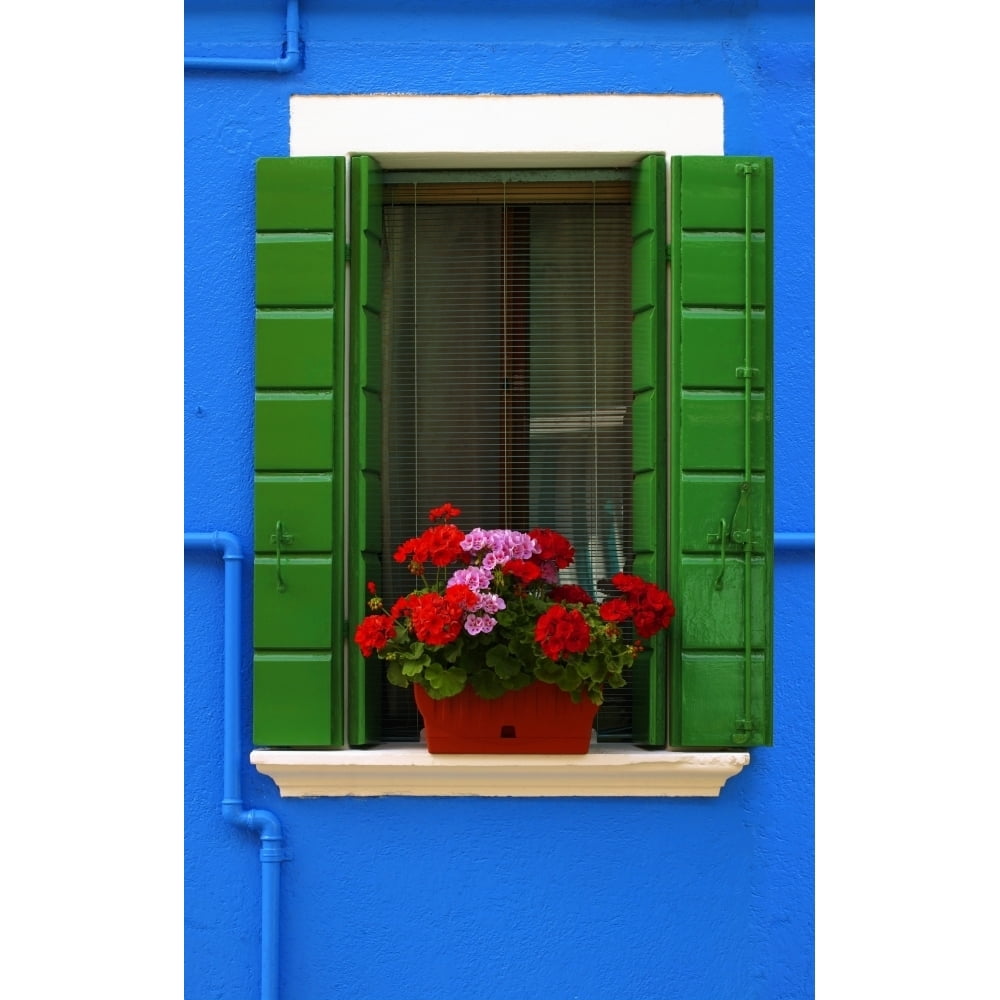 Vibrant blue building with window and green shutters with blossoming ...