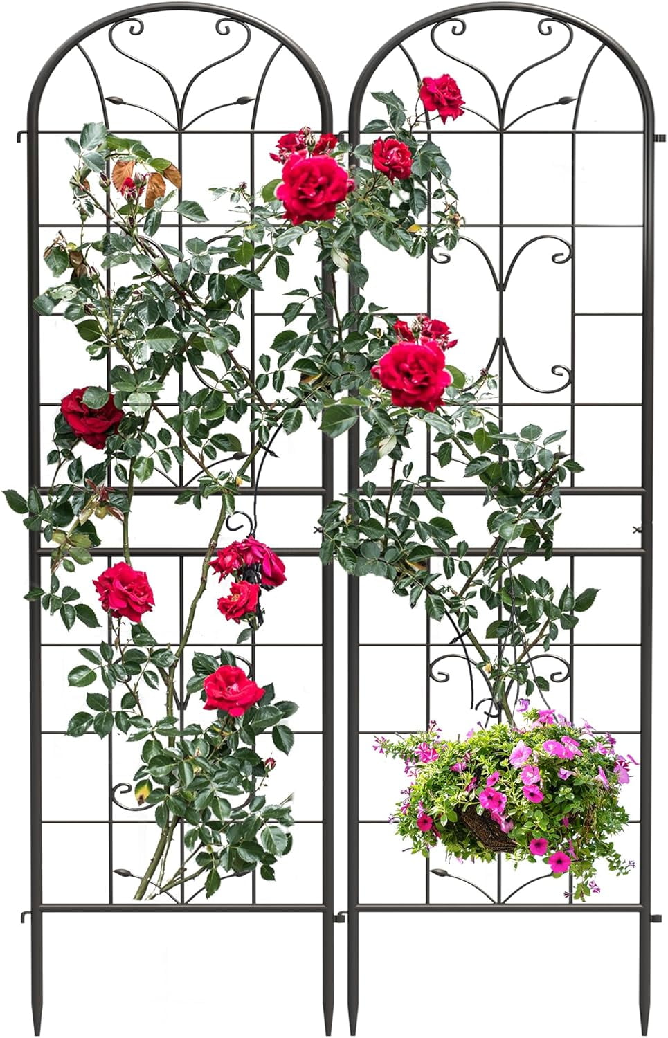 VibrantEcho 2 Pack 87x20in Garden Arch Trellises for Supporting ...