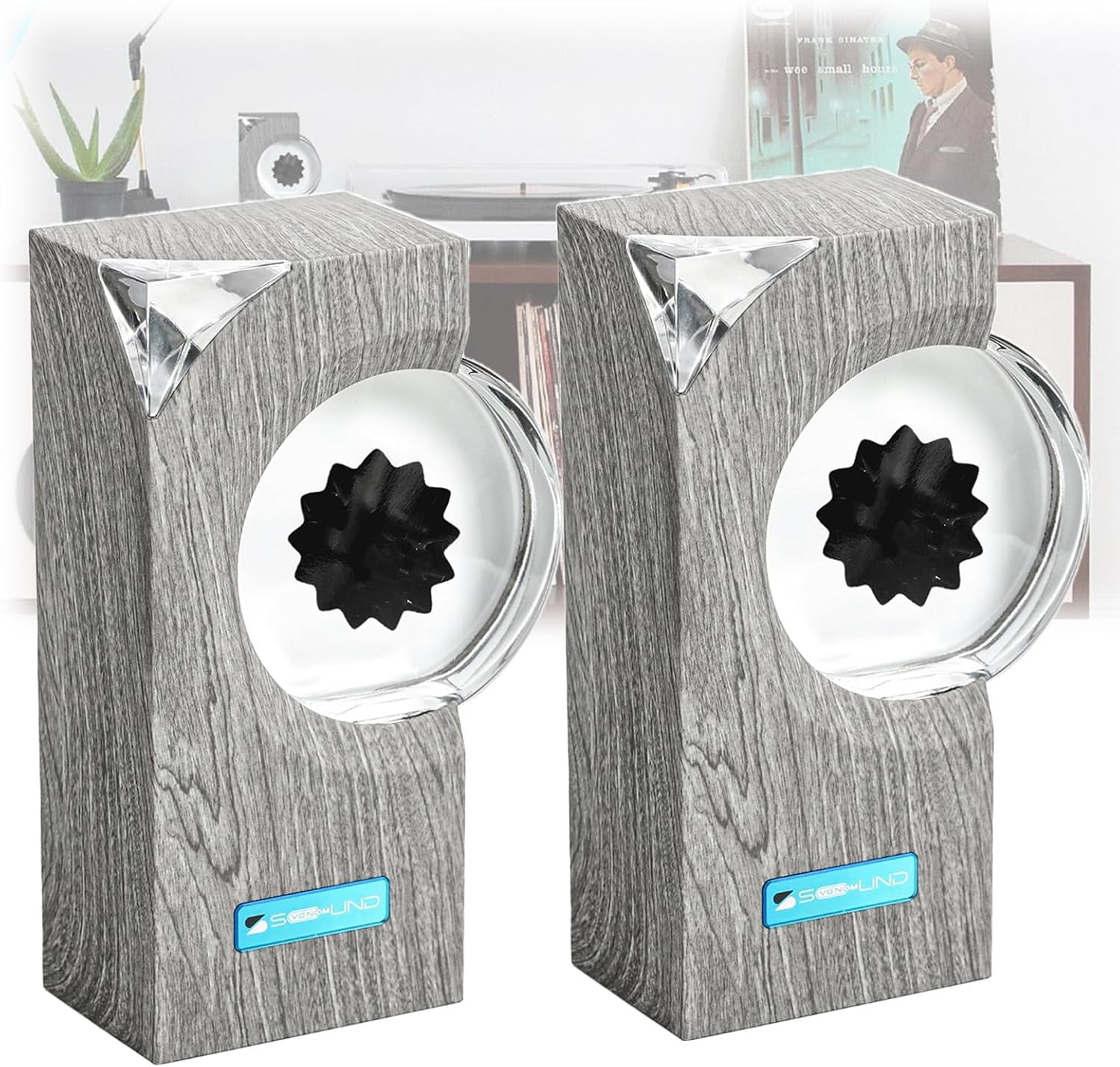 Vibromystic Ferrofluid Sound Visualizer, Dancing Ferrofluid with Music ...