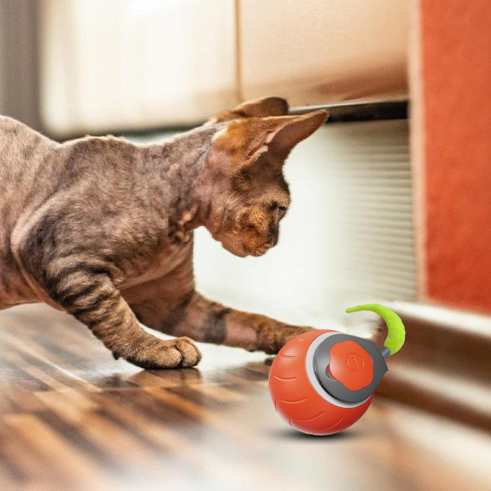 Vicbovo Interactive Cat Toy Ball, 2025 Upgrade Self Rolling Ball Smart ...