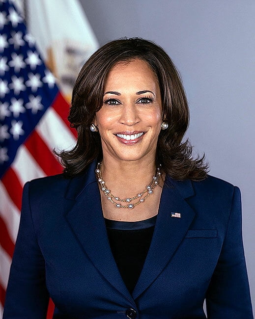 Vice President Kamala Harris Official Portrait - 20x30 Inch Glossy ...
