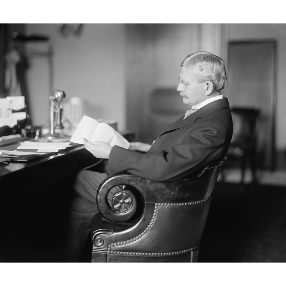 Vice President Thomas Marshall History (36 x 24) - Walmart.com