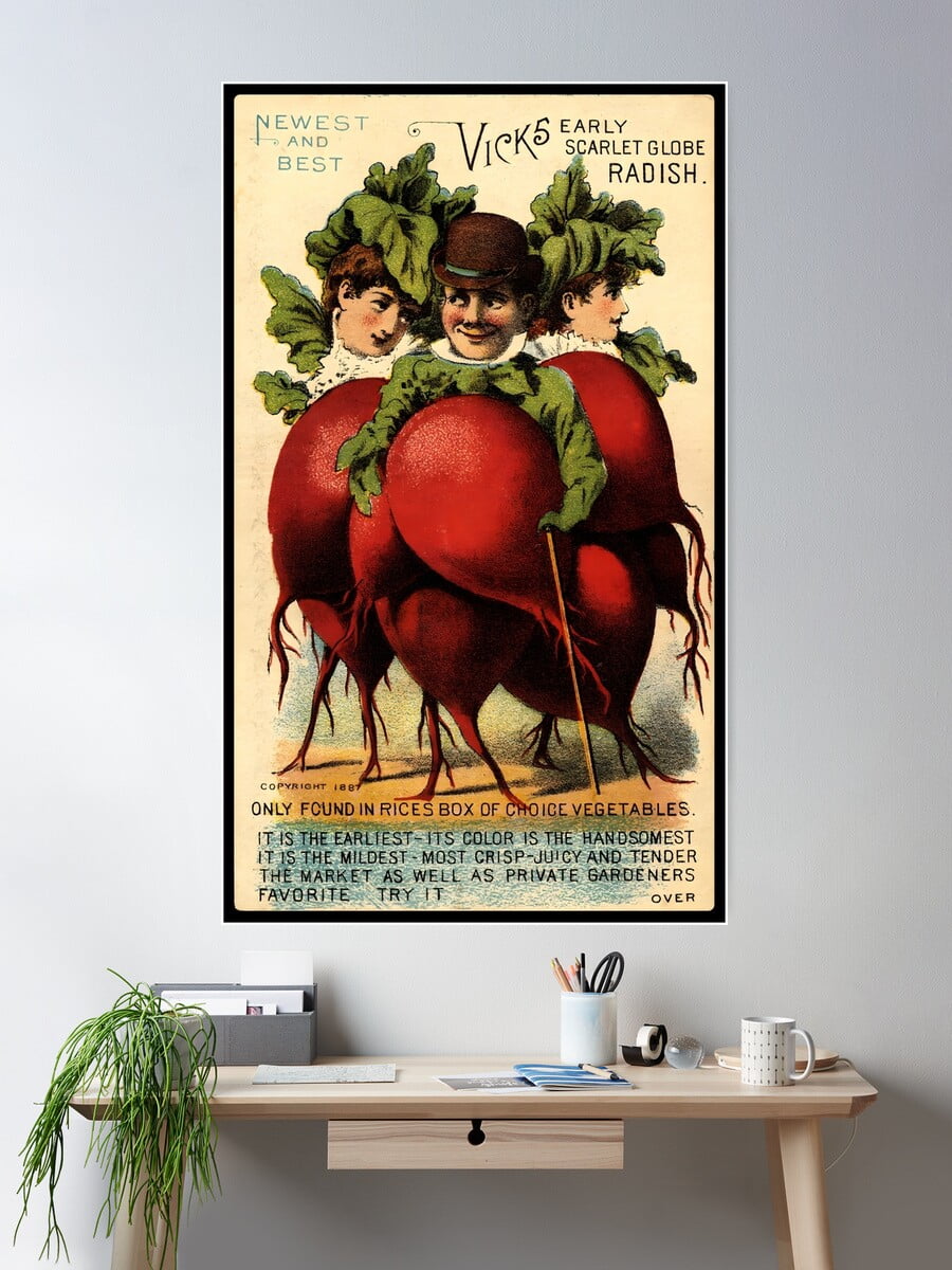 Vickâ€™S Early Scarlet Globe Radish Â€“ 1887 Vintage Seed Packet Art ...