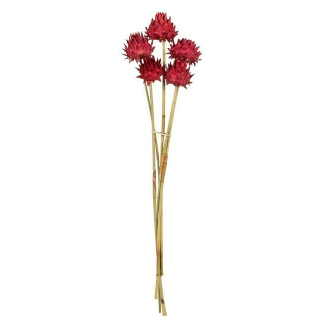 Vickerman 15" Red Artichoke Head attached to a Reed Stem. Includes 9 ...