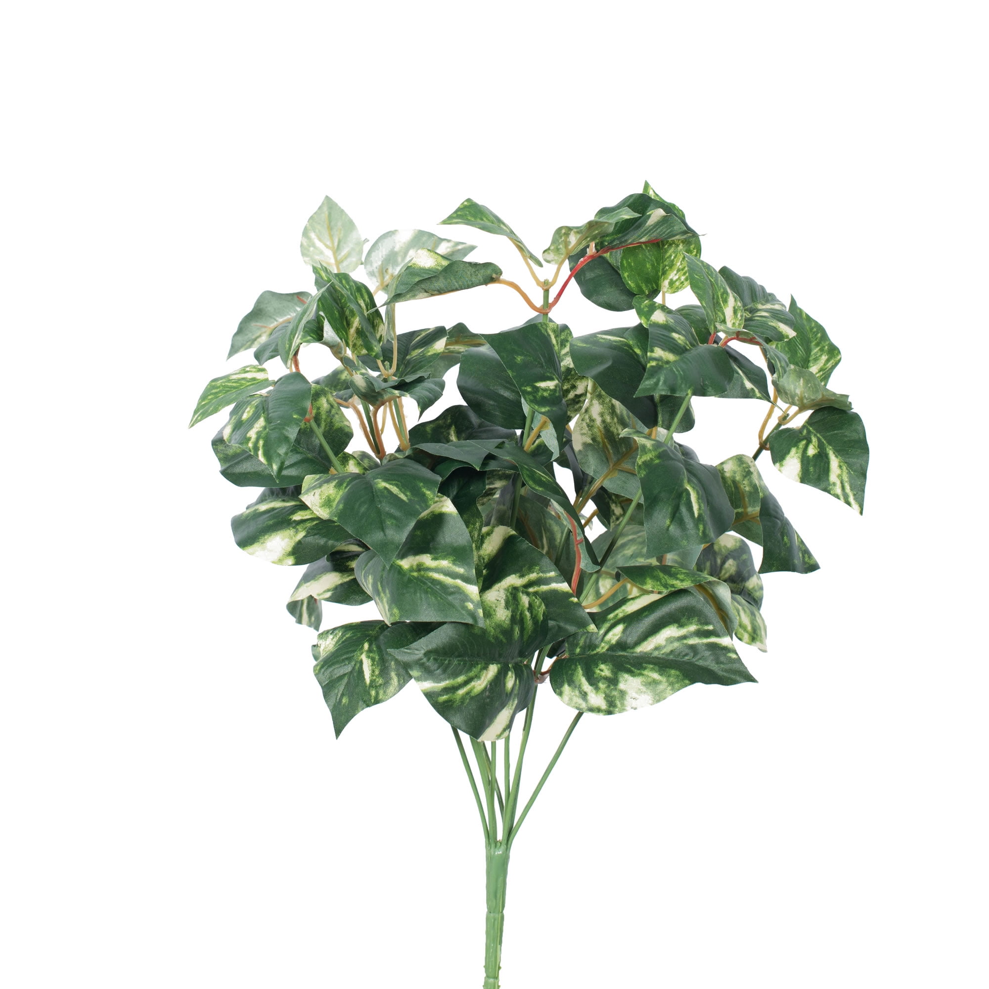 Vickerman 17" Artificial Green And Cream Pothos Leaf Bush. - Walmart.com