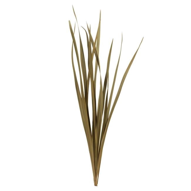 Vickerman 18-30" Natural Snake Grass. Includes 36 Stems (3 - 12 Stem ...