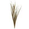 Vickerman 28" Red Splinter Grass, 11 oz Bundle, Dried - Walmart.com