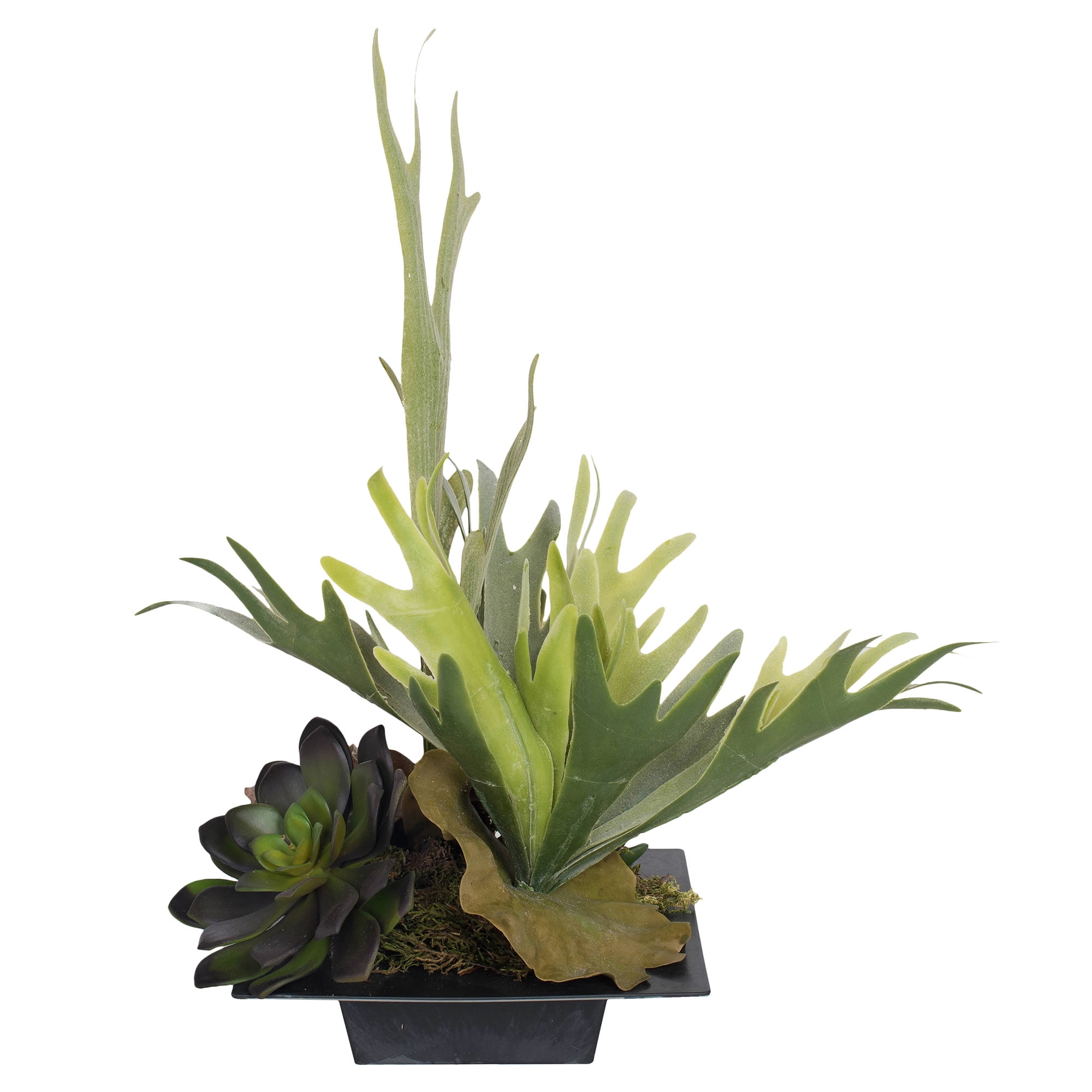 Vickerman 18" Artificial Staghorn Fern with Mix of other Succulents ...