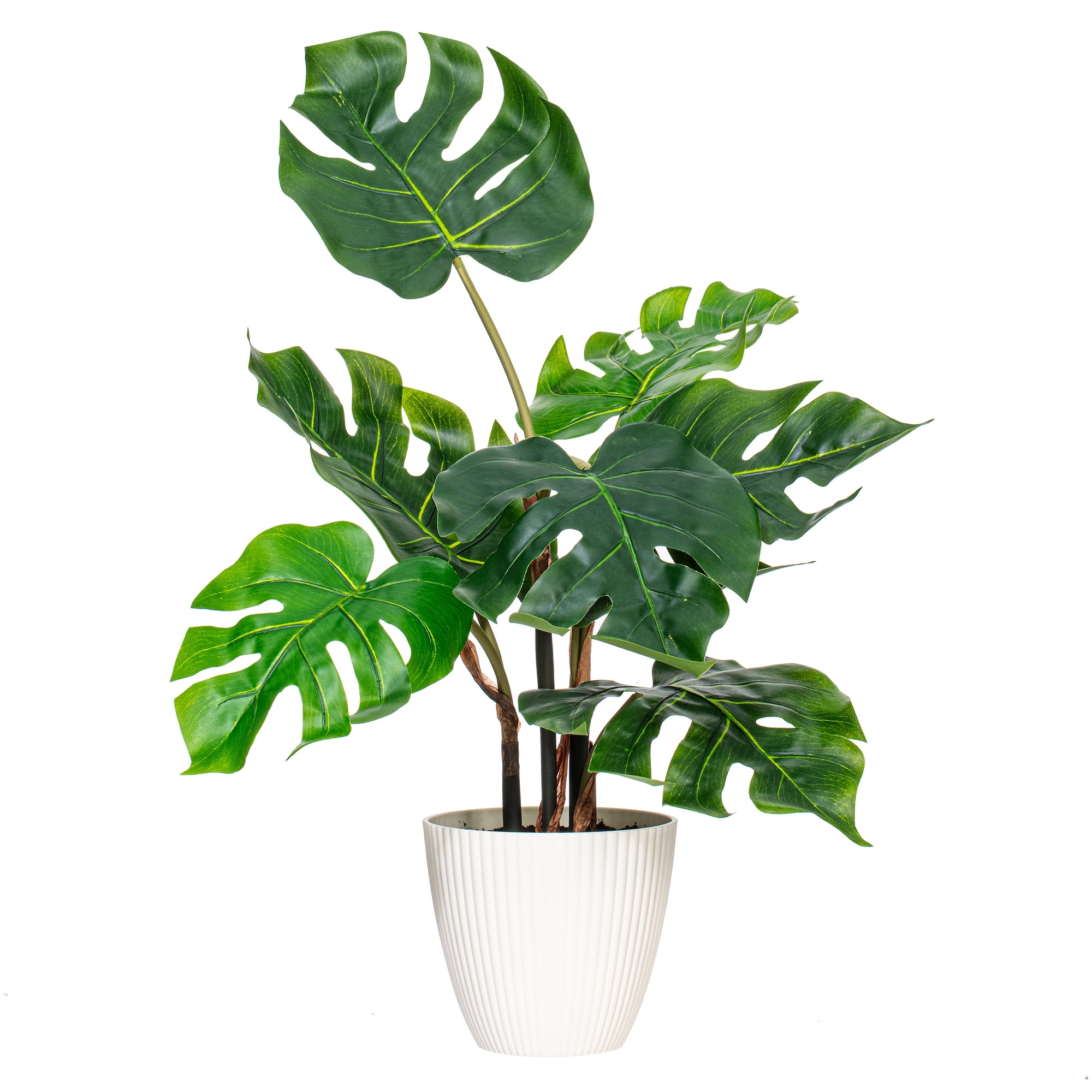 Vickerman 18" Green Monstera Plant x7 in White Pot. - Walmart.com