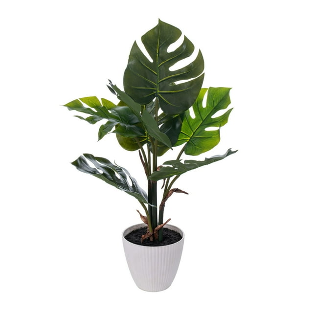 Vickerman 18" Green Monstera Plant x7 in White Pot. - Walmart.com