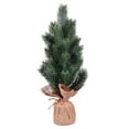 Vickerman 19" Blue Spruce Sapling Artificial Christmas Tree, Unlit ...