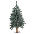 Vickerman Mini 2' Natural Bark Alpine Artificial Christmas Tree, Unlit ...