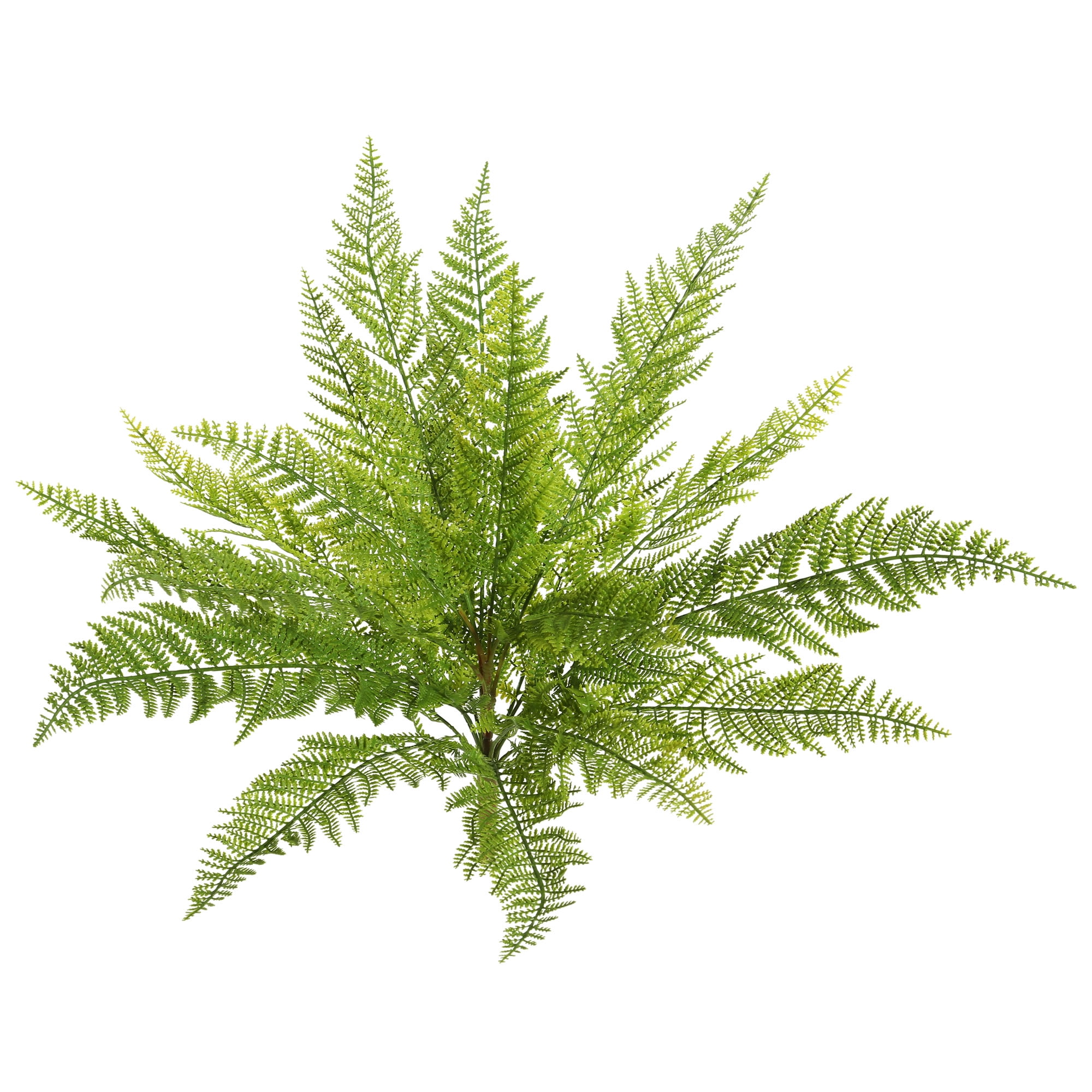 Vickerman 20" Artificial Green Lace Fern Bush. LDPE Plastic 60%, Wire ...