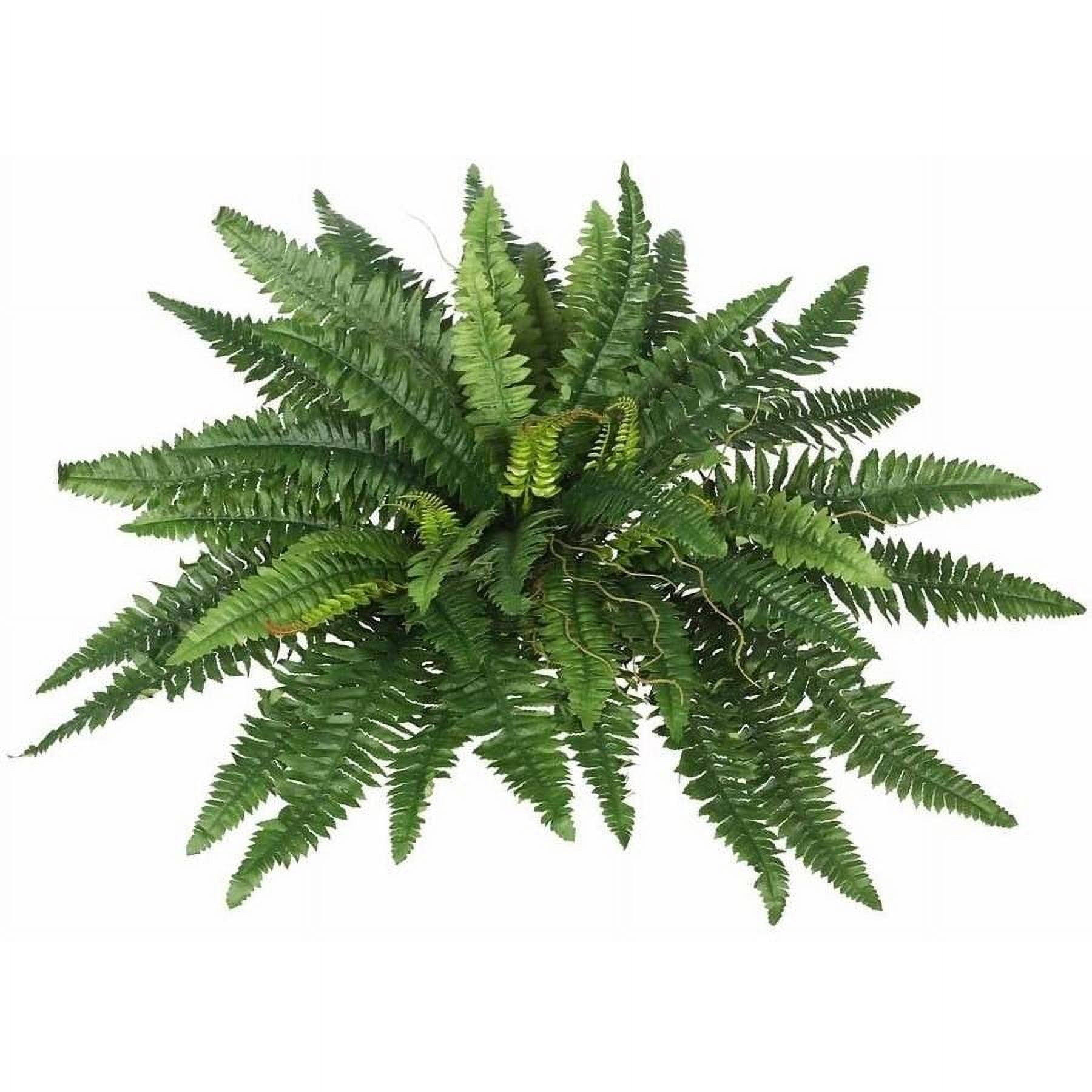 Vickerman 21" Artificial Green Boston Fern Bush Featuring 53 Fronds ...