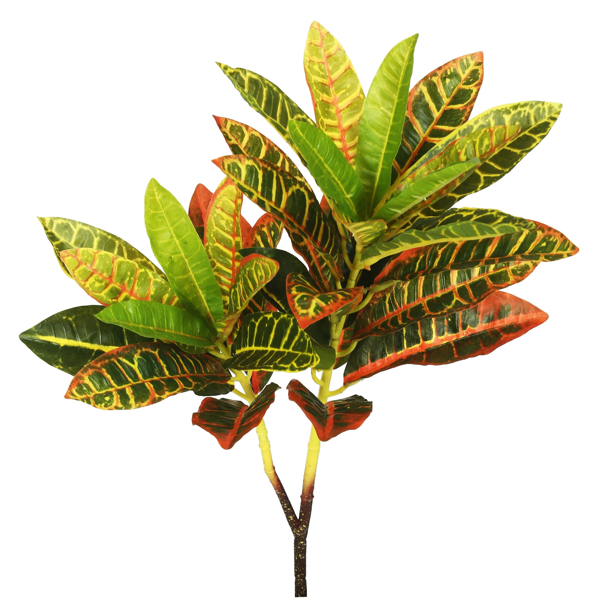 Vickerman 23" Green Real Touch Artificial Croton Spray Featuring 2 ...