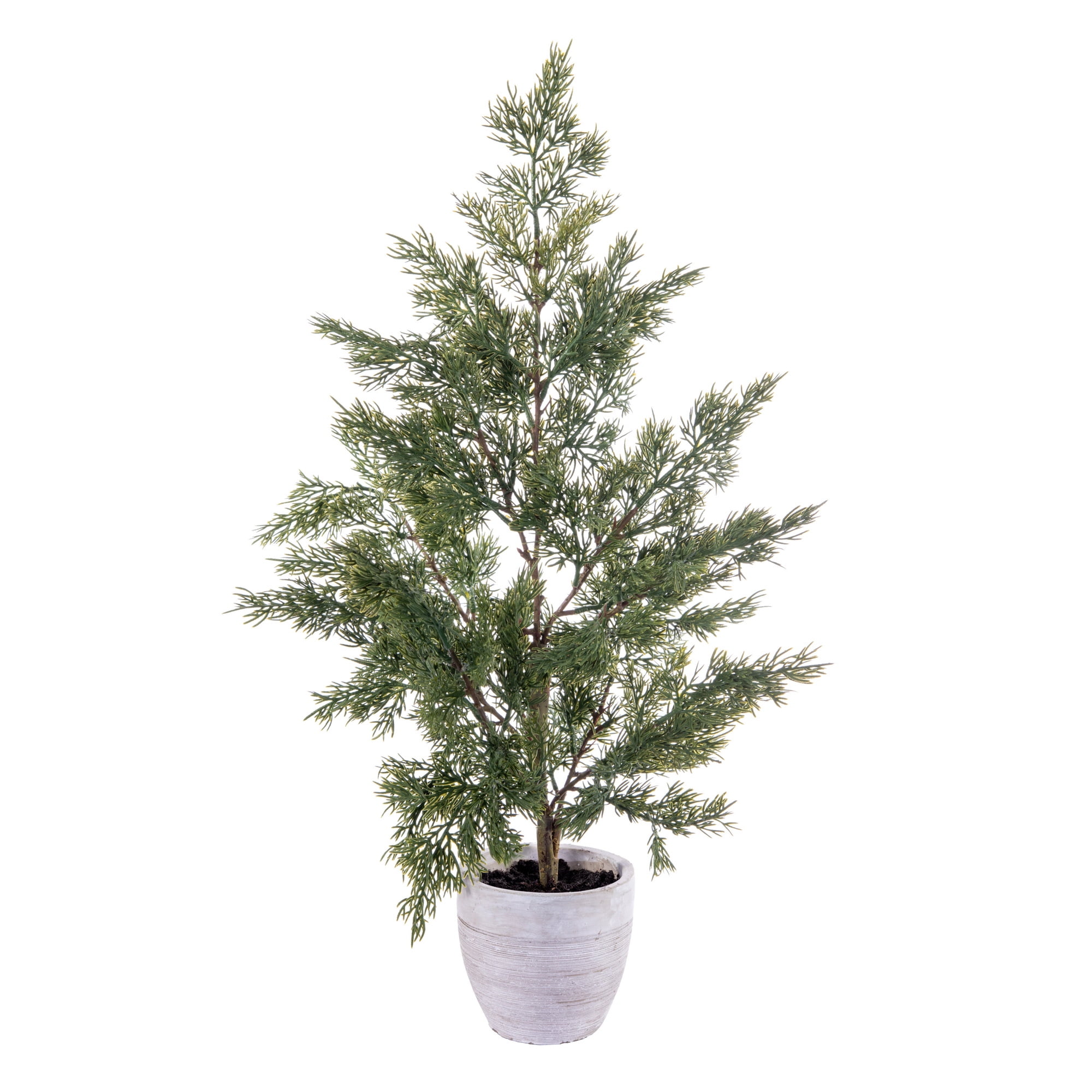 Vickerman 24" Artificial Green Cypress Sapling Potted. - Walmart.com