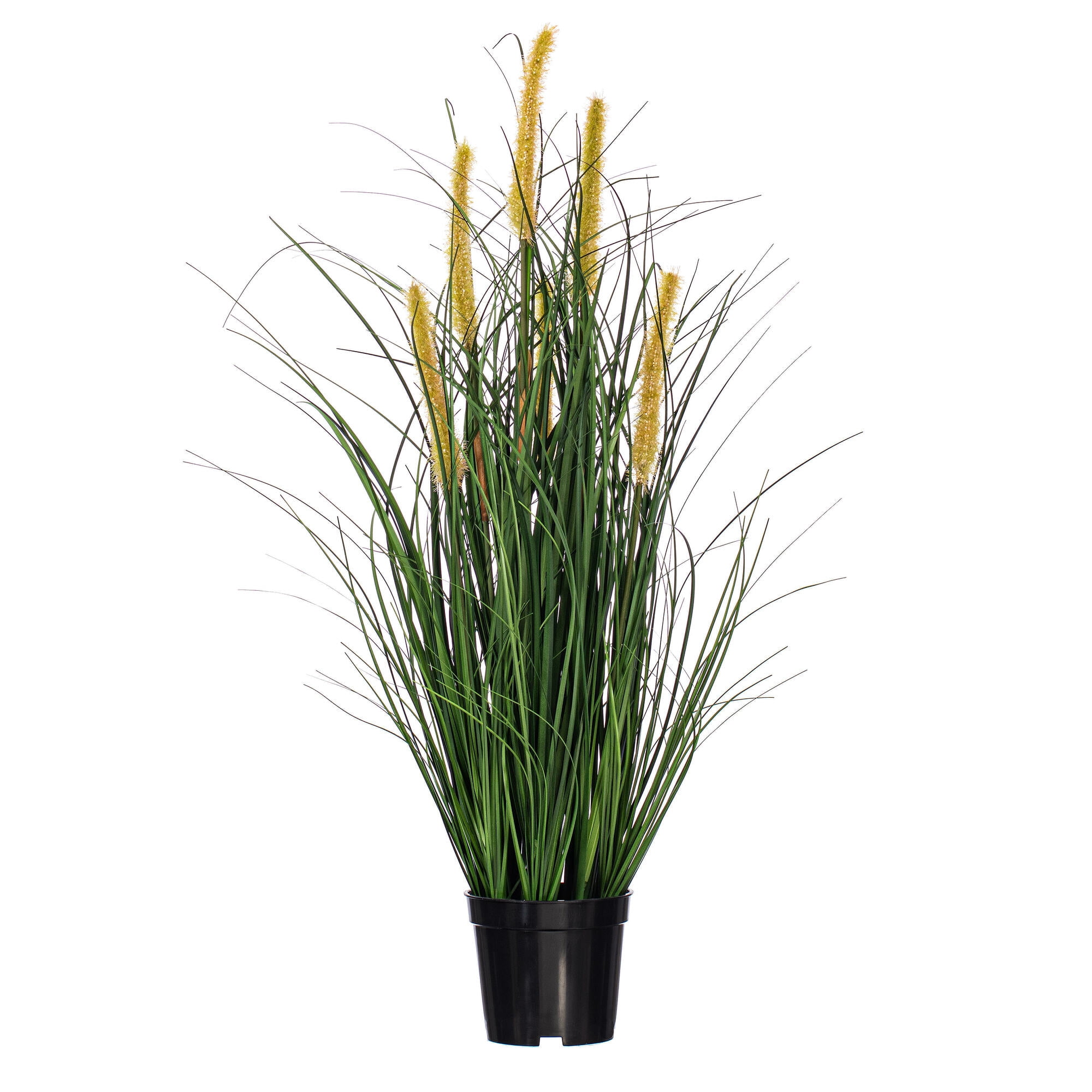 Vickerman 24" PVC Artificial Potted Green Foxtail Grass. - Walmart.com