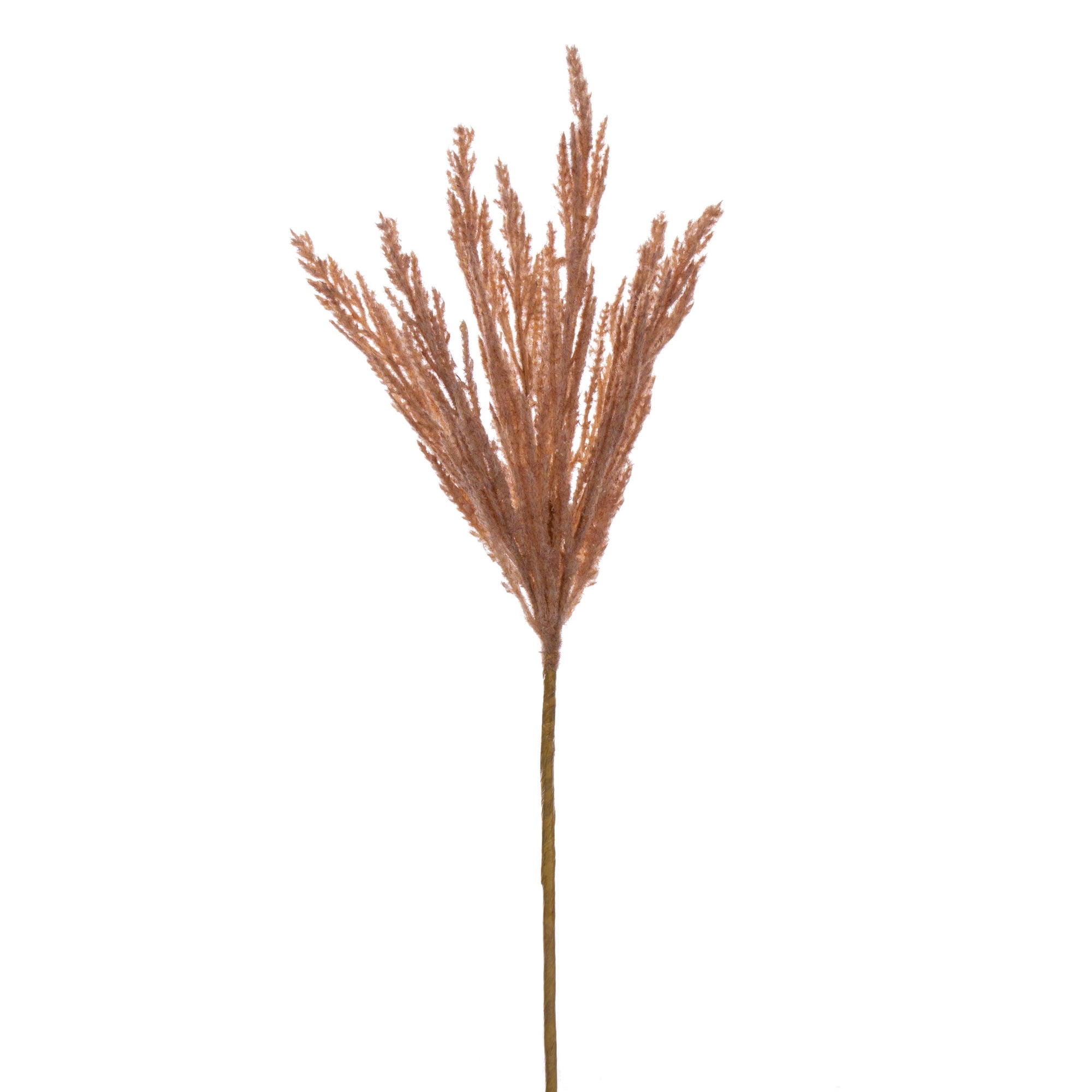 Vickerman 26" Light Brown Artificial Reed Spray, 3 per bag. - Walmart ...