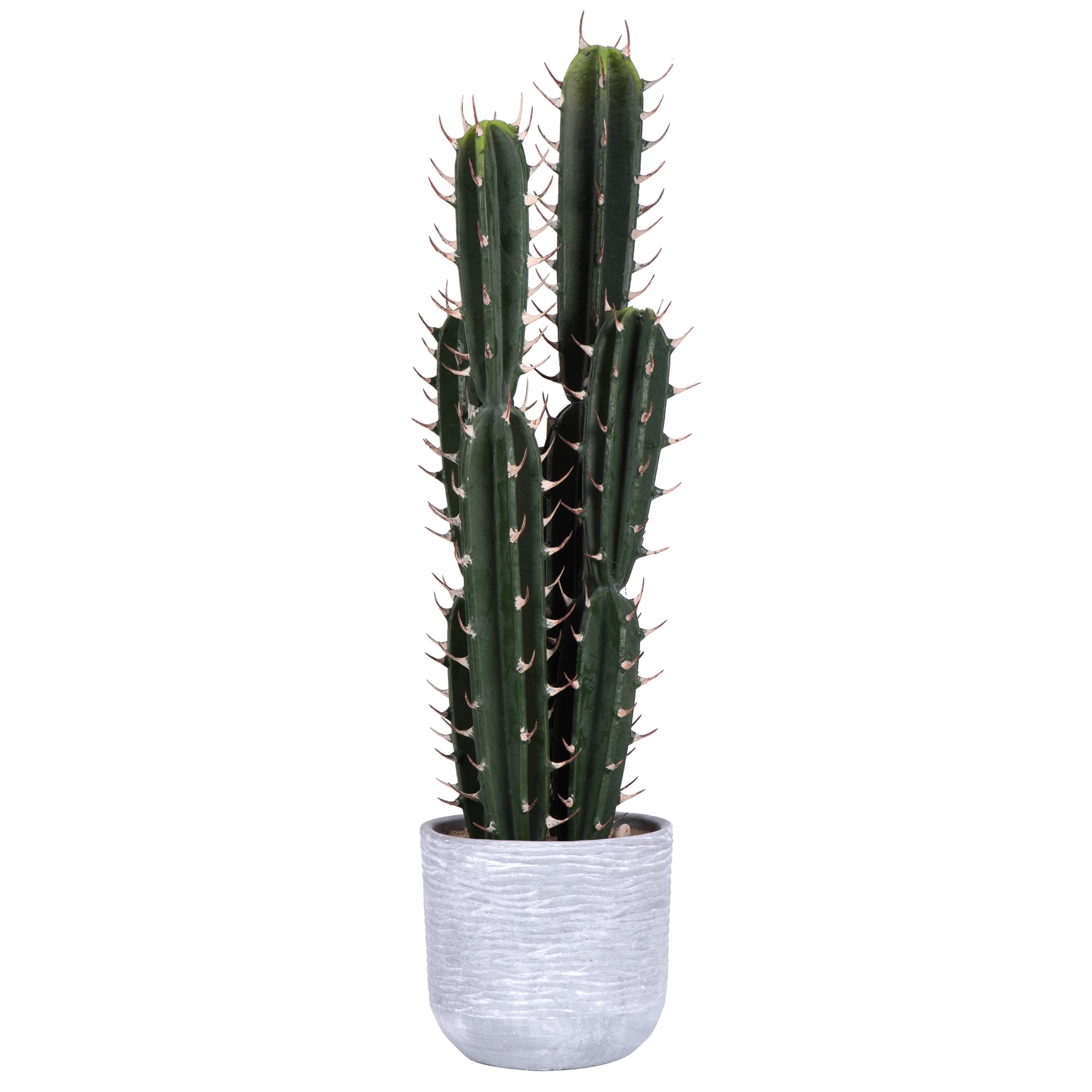 Vickerman 27.5" Artificial Green Cactus Plant. - Walmart.com