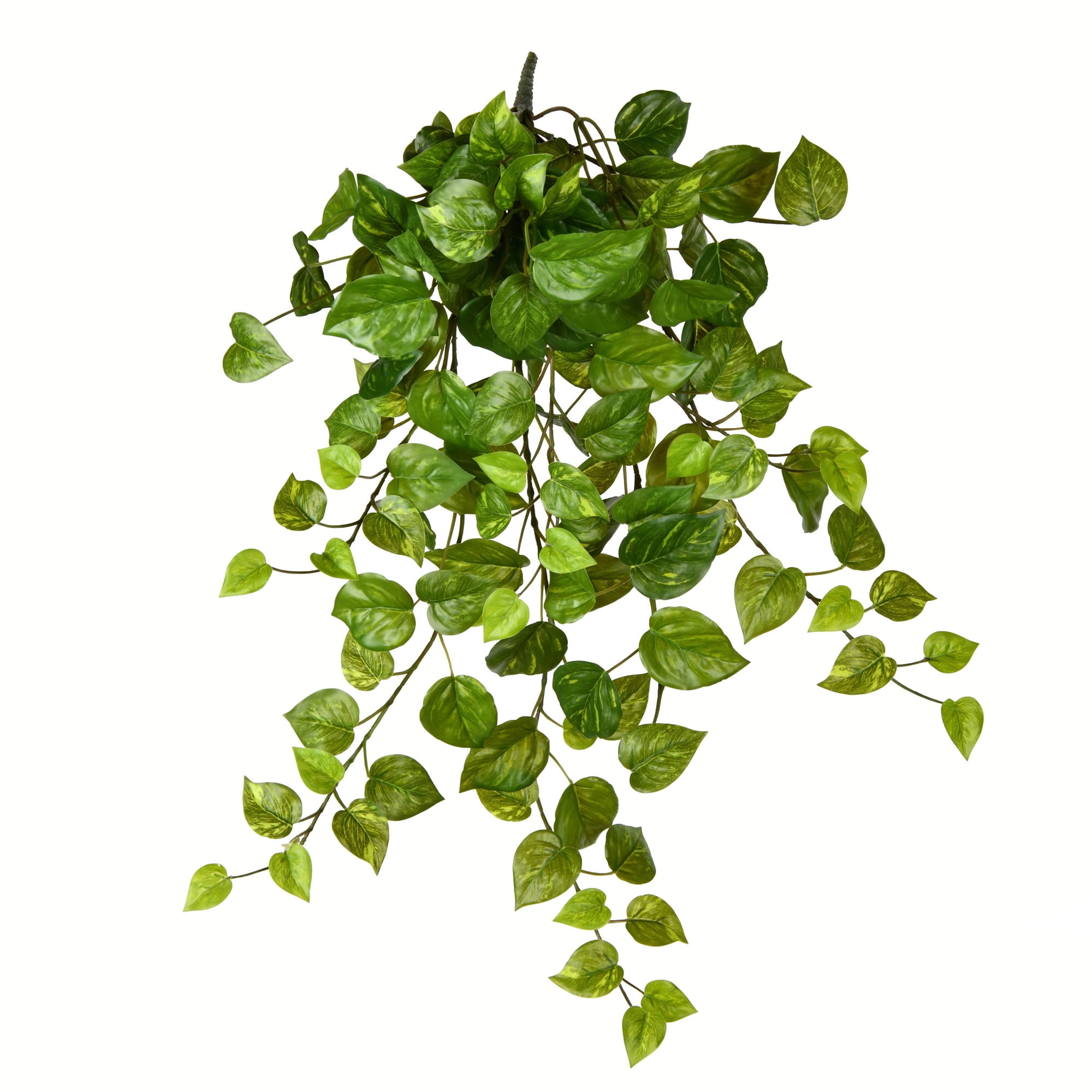 Vickerman 28" Artificial Pothos Hanging Bush, Pack of 2 - Walmart.com