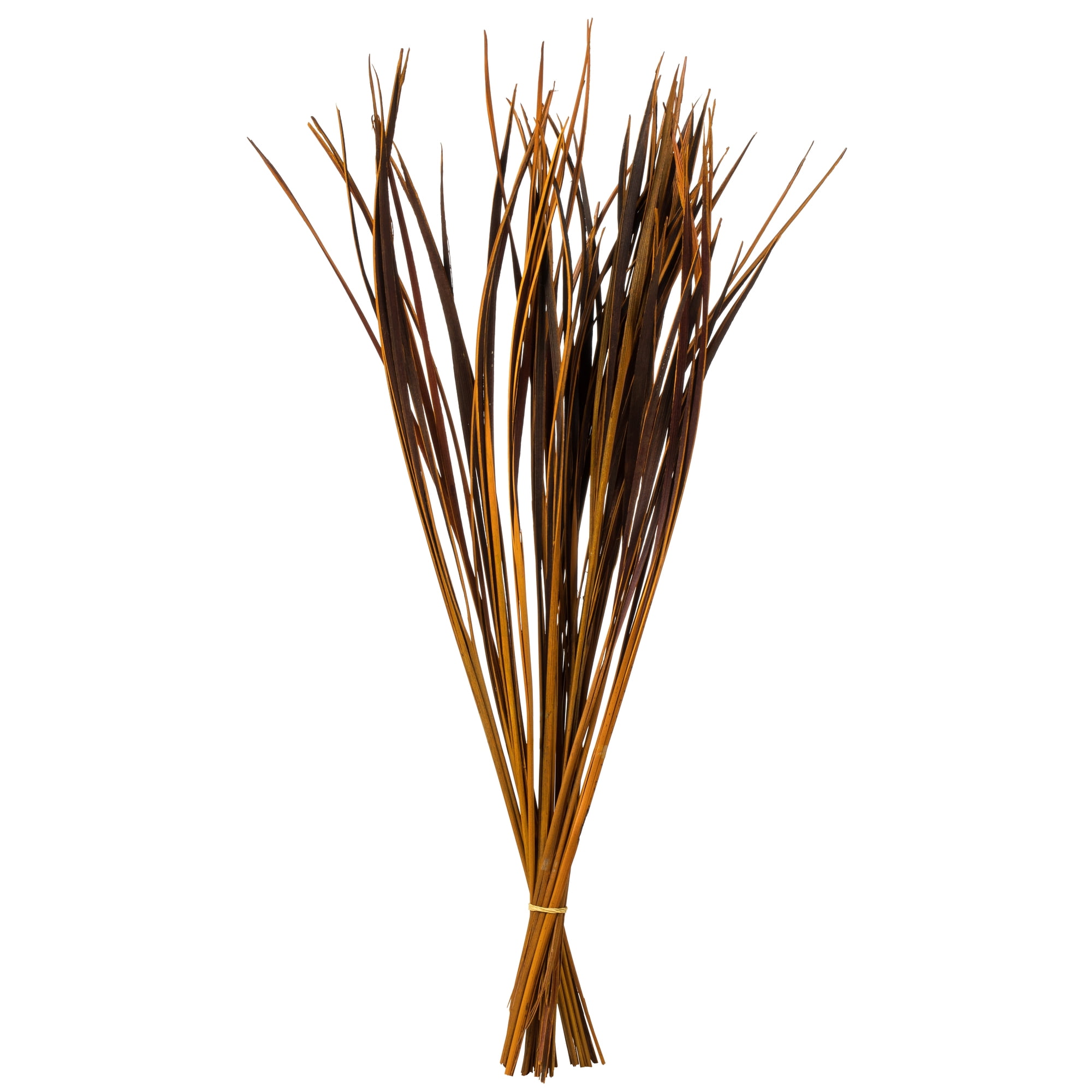 Vickerman 28" Aspen Gold Splinter Grass, 11 oz Bundle, Dried - Walmart.com