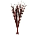 Vickerman 28" Red Splinter Grass, 11 oz Bundle, Dried - Walmart.com
