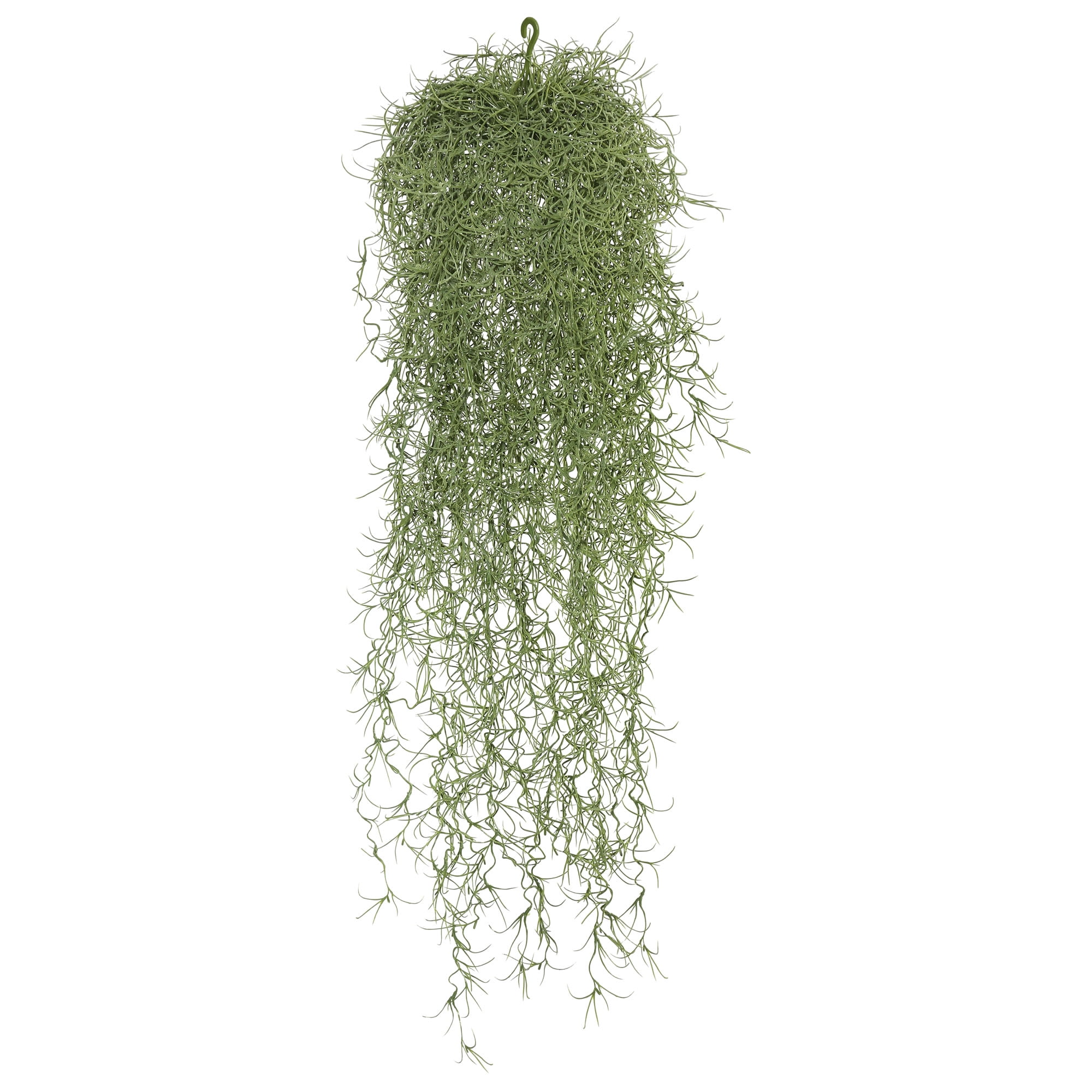 Hanging Moss Texture
