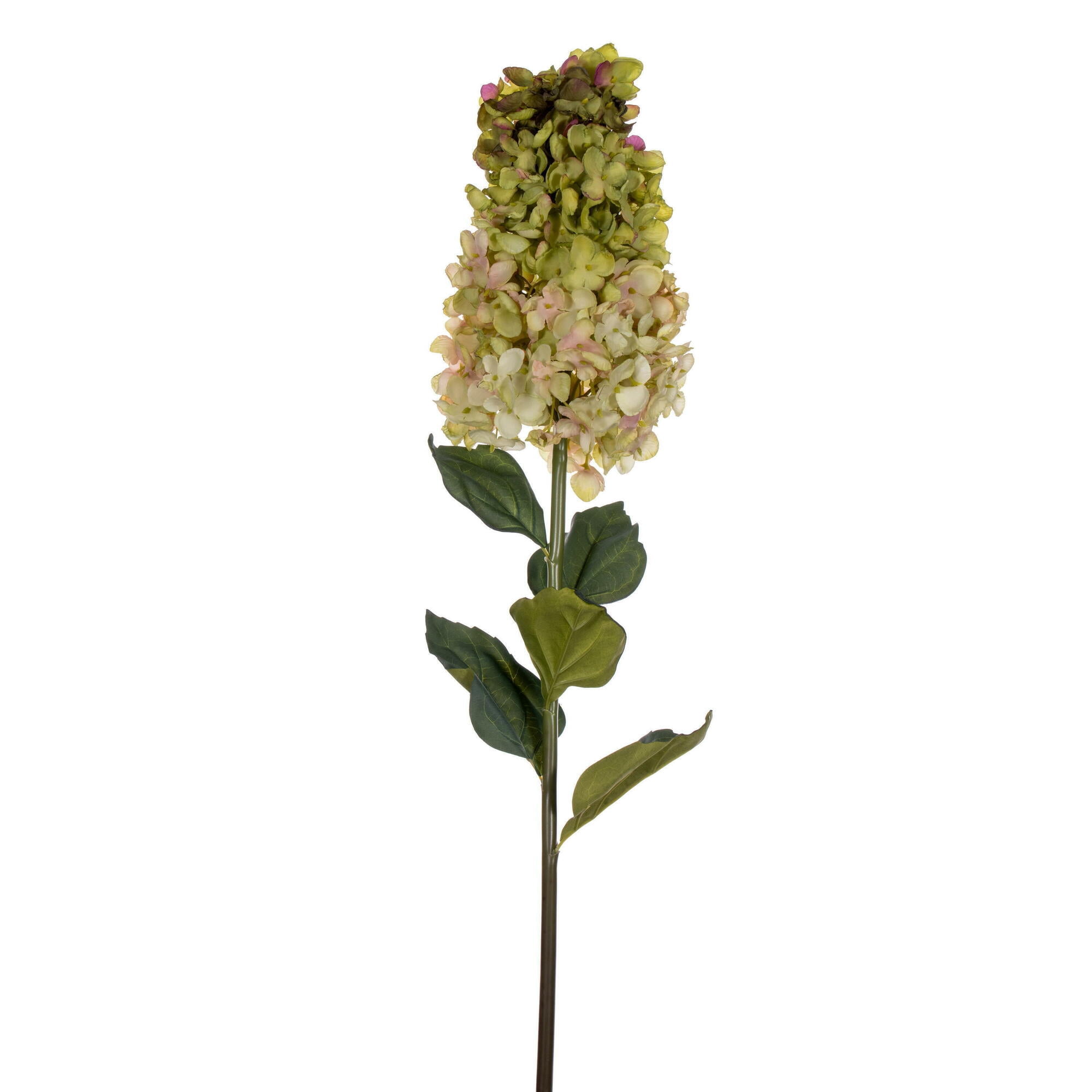 Vickerman 35.5" Light Green Artificial Cone Hydrangea Spray, Home Decor ...