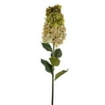 Vickerman 35.5" Light Green Artificial Cone Hydrangea Spray, Home Decor ...