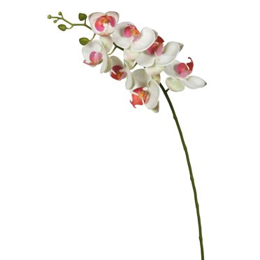 Long Weigela Flower Stem 63" Tall - Walmart.com