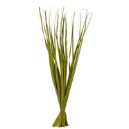Vickerman 28" Red Splinter Grass, 11 oz Bundle, Dried - Walmart.com