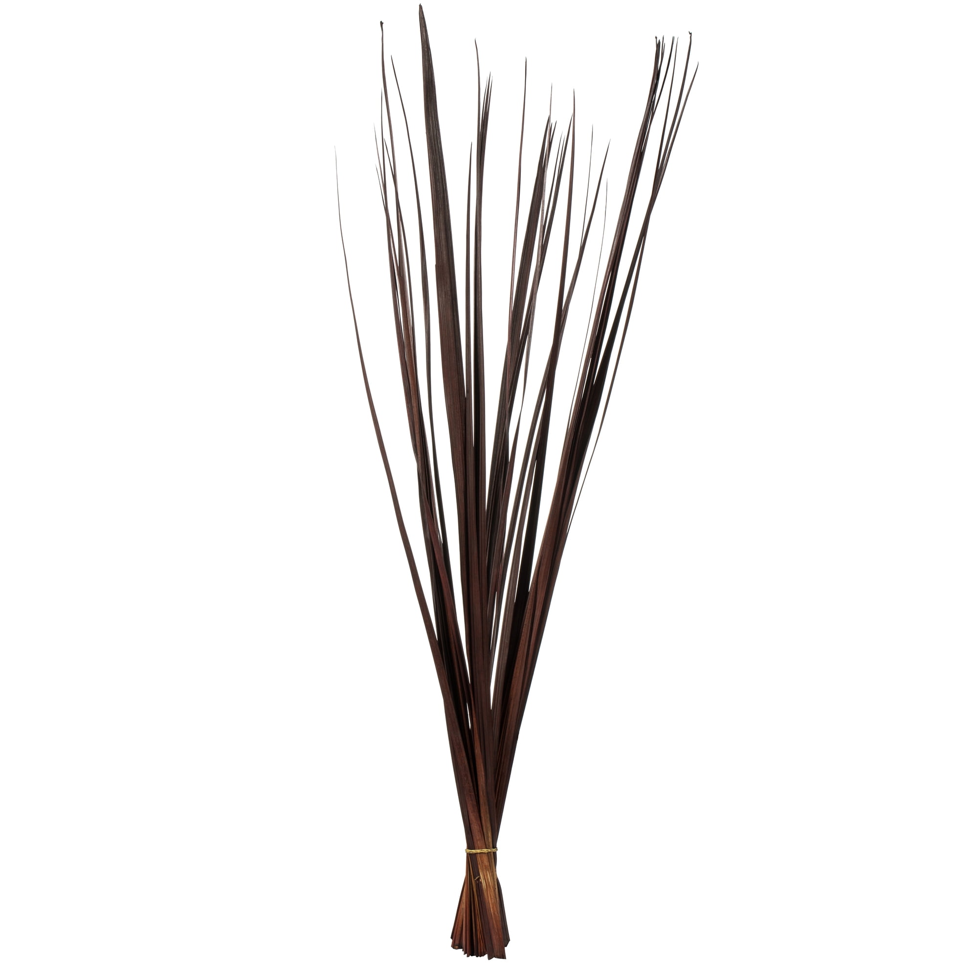 Vickerman 36-40" Brown Sable Grass, 7 oz Bundle, Dried - Walmart.com