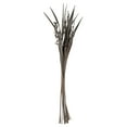 Vickerman 36" Gray Wash Bahia Spears with Seeds, 2 pack, Dried ...