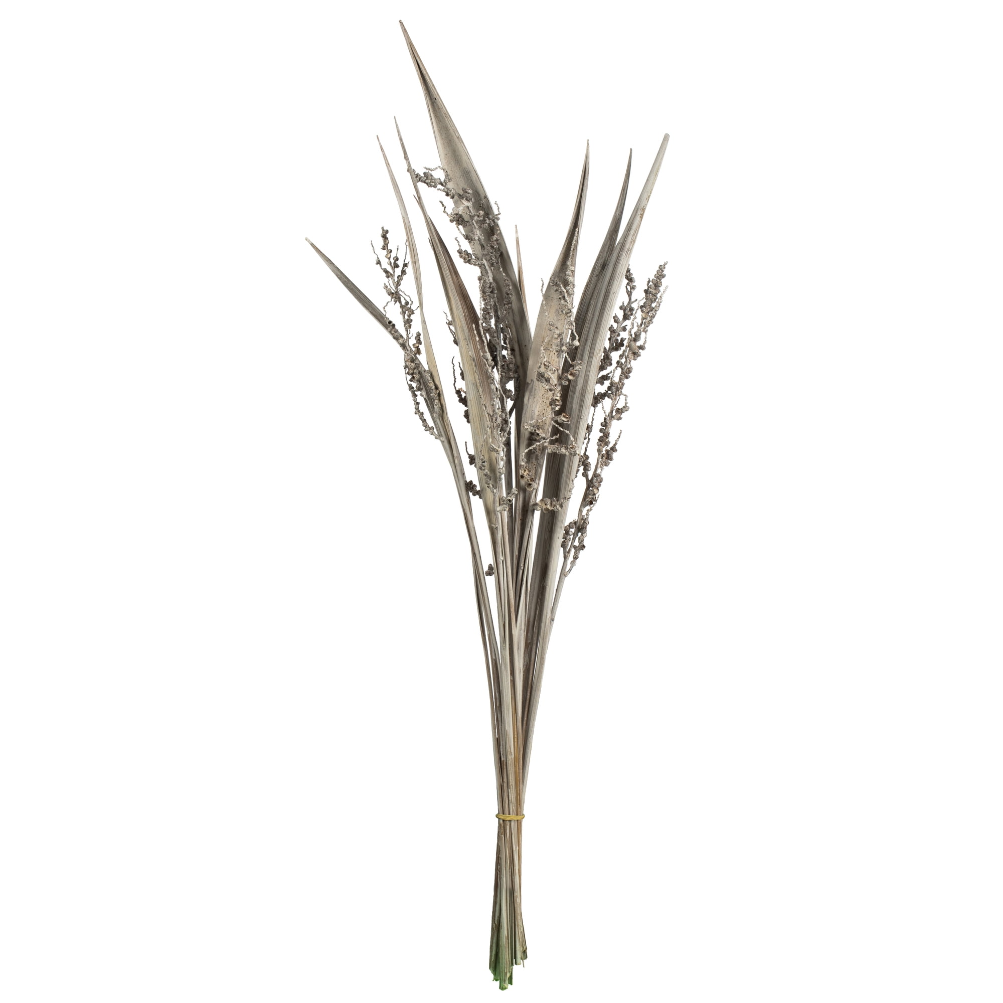 Vickerman 36" White Wash Bahia Spears with Seeds, 2 pack, Dried ...