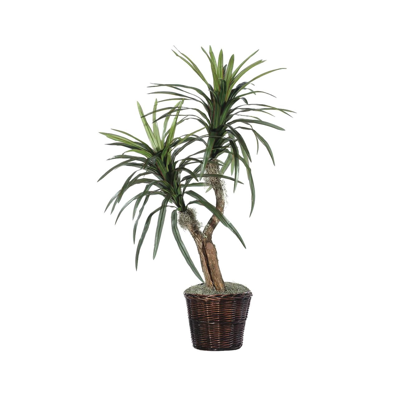 Vickerman 4' Artificial Marginata Bush, Rattan Basket - Walmart.com