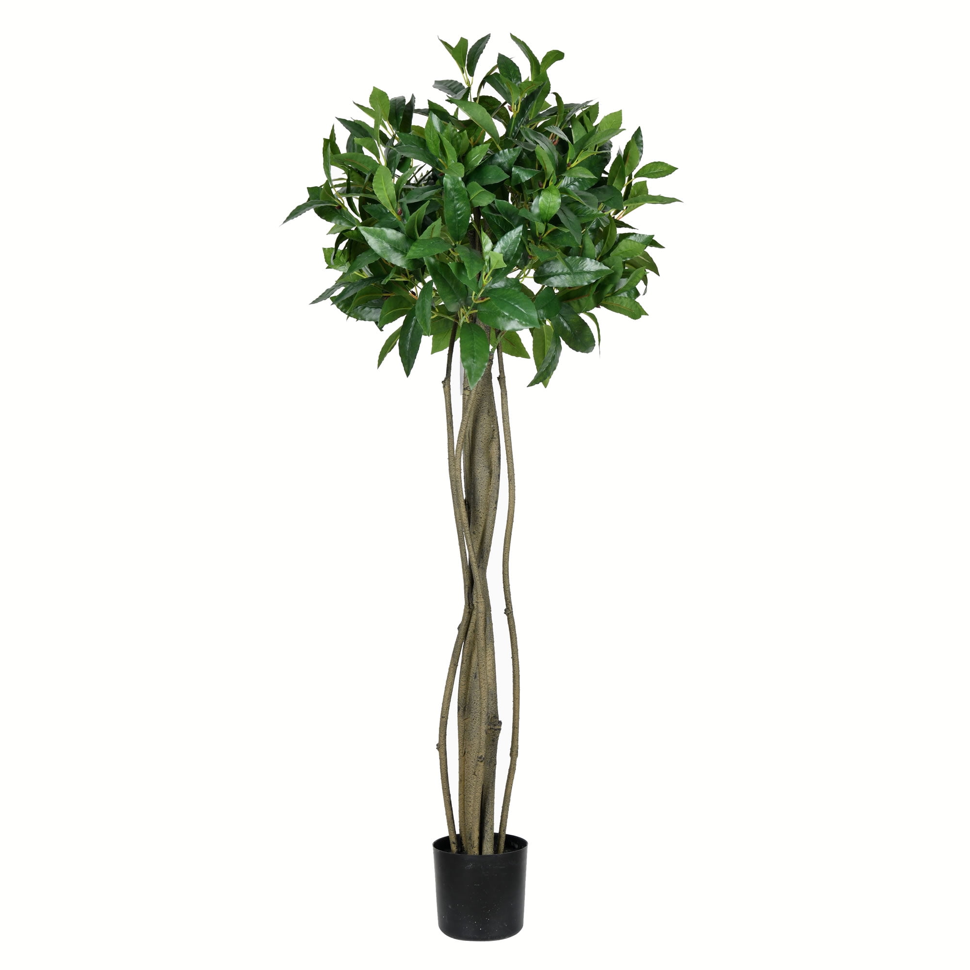 Vickerman 4' Artificial Potted Bay Leaf Topiary - Walmart.com