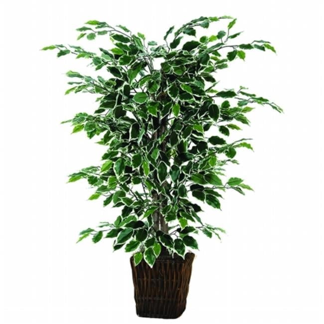 Vickerman 4' Variegated Ficus Bush in Sq Willow - Walmart.com