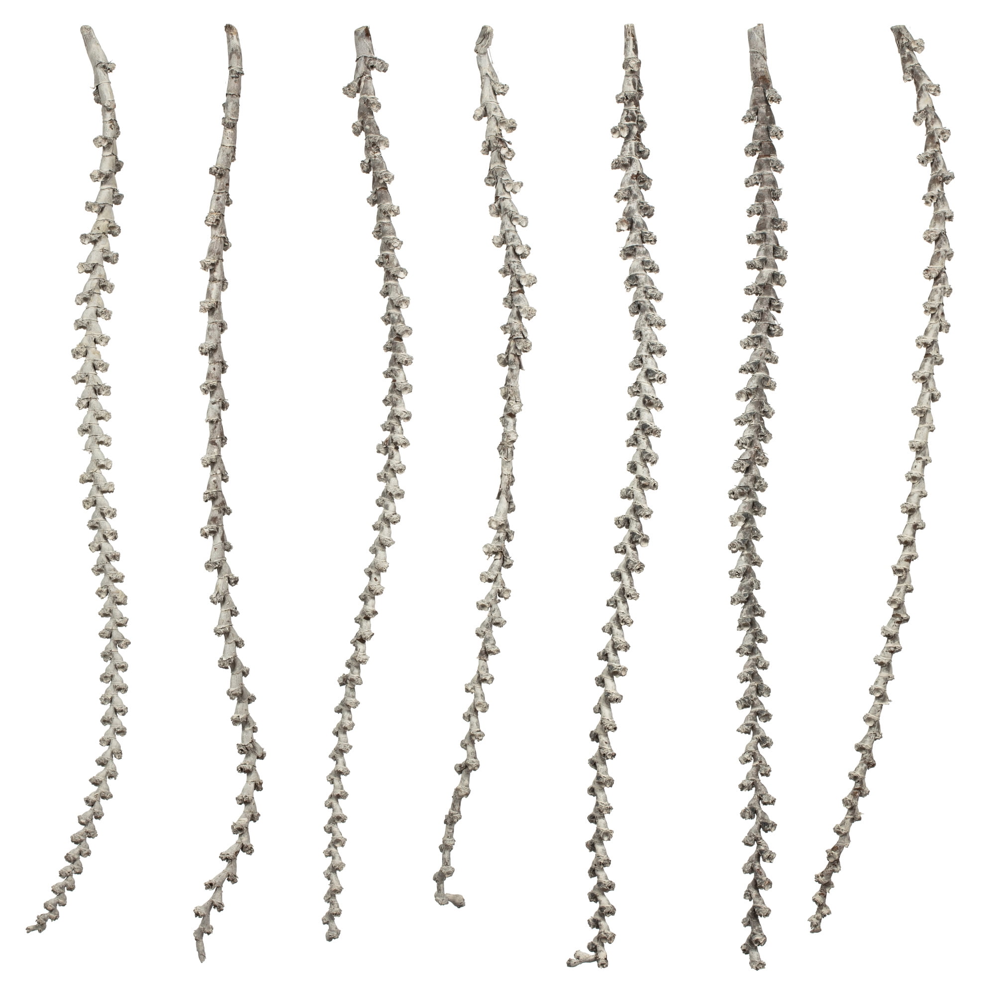 Vickerman 40-48" Light White Wash Ladder Branches. Includes 9 Extra ...