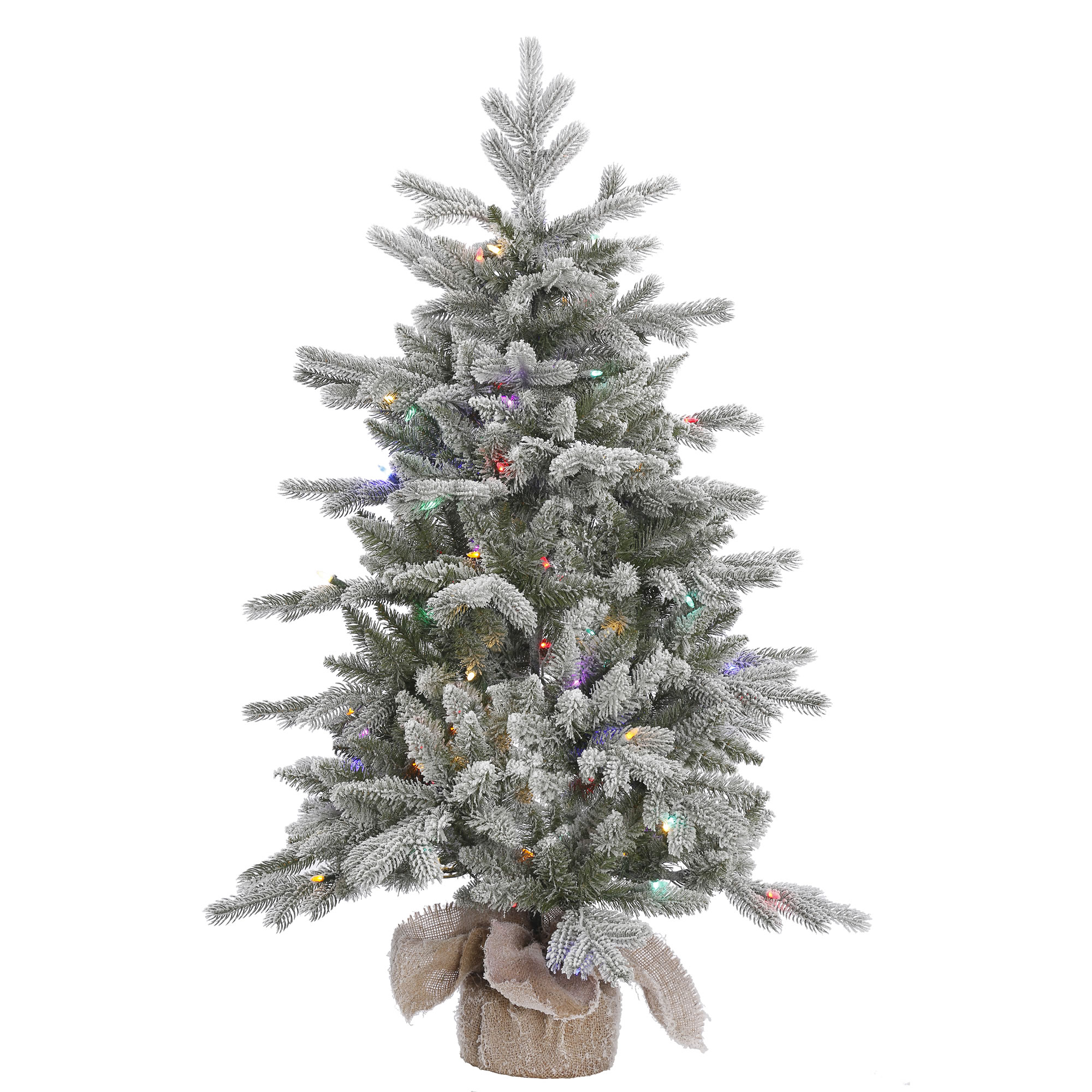 Vickerman 48" Frosted Sable Pine Artificial Christmas Tree, Multi ...