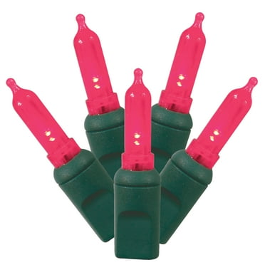 Vickerman 50 Cool White G12 LED Light on Green Wire, 25' Christmas ...