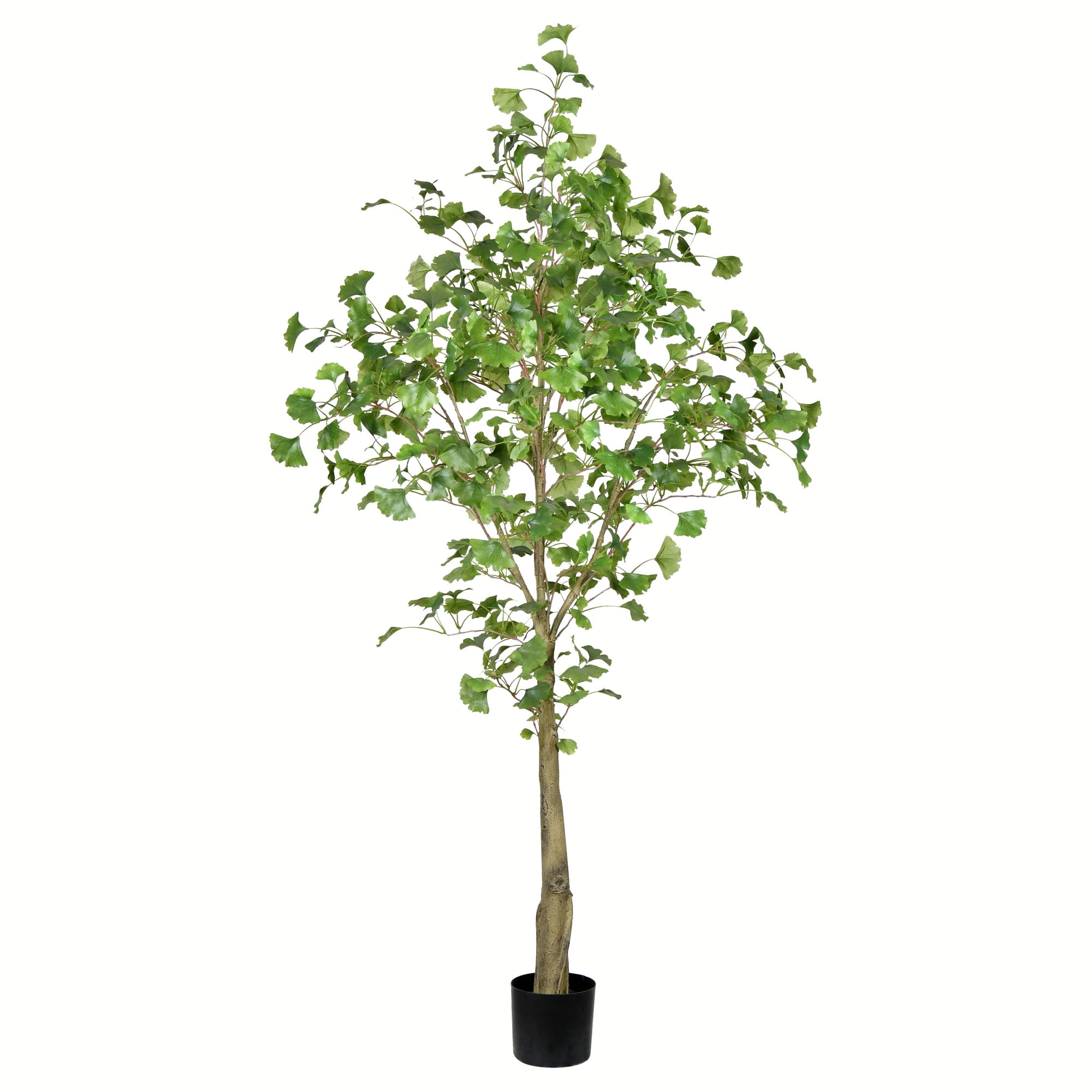 Vickerman 6' Artificial Potted Ginkgo Tree. - Walmart.com