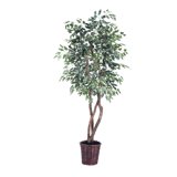 Vickerman 6' Artificial Variegated Ficus Heartland - Walmart.com