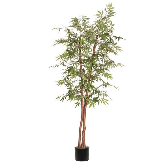 Vickerman 6 ft. Japanese Maple Deluxe Tree - Green - Walmart.com