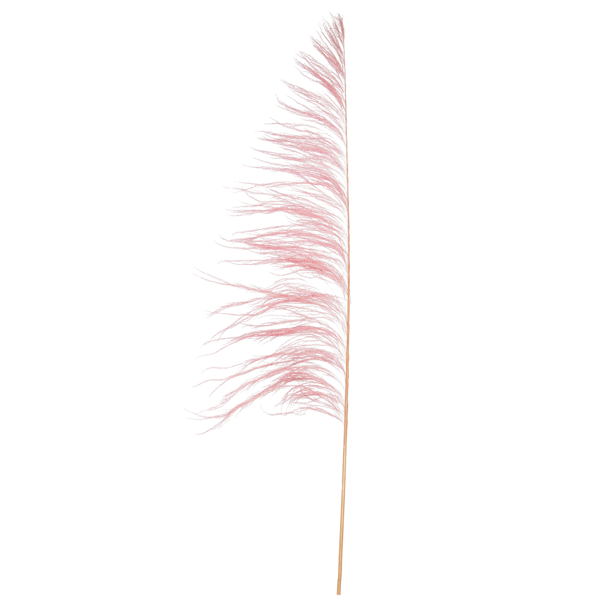 Vickerman 60-72" Light Pink Uva Palm Spray, standing between 60 to 72 ...