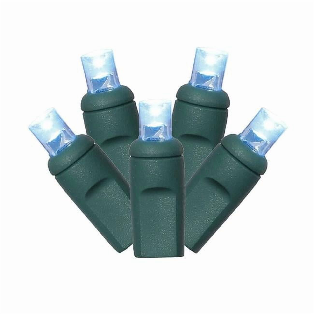 Vickerman X4G6732TPBG 70 Light LED GW WA Twinkle LED Light Set, Teal ...