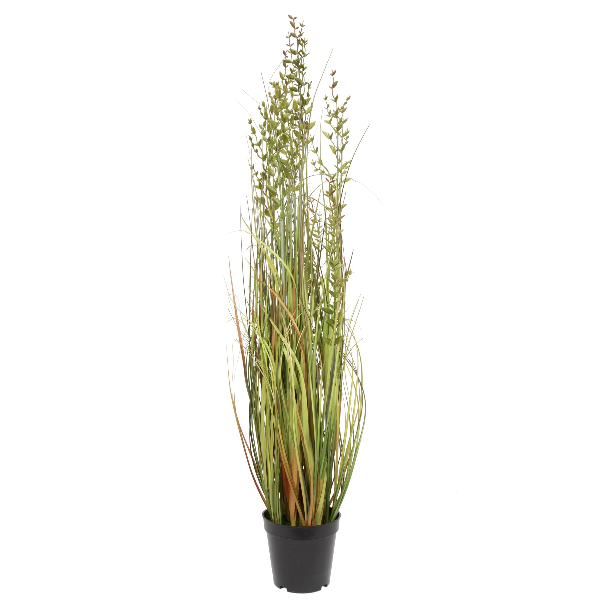Vickerman Everyday 36" Artificial Green and Brown Grass with Black ...